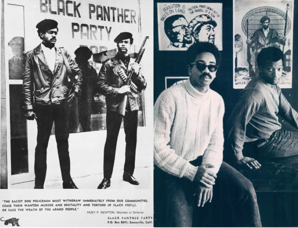 PRESERVING THE HERITAGE OF THE BLACK PANTHER PARTY IN ILLINOIS ...